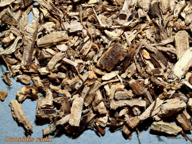 Our Products | Natural Herbal E.V.R