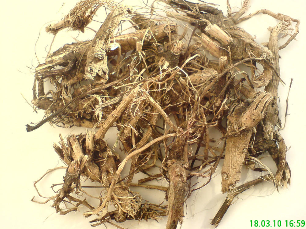 Our Products | Natural Herbal E.V.R