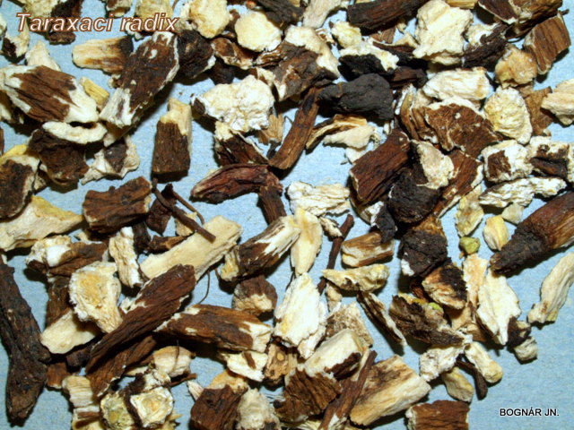 Our Products | Natural Herbal E.V.R